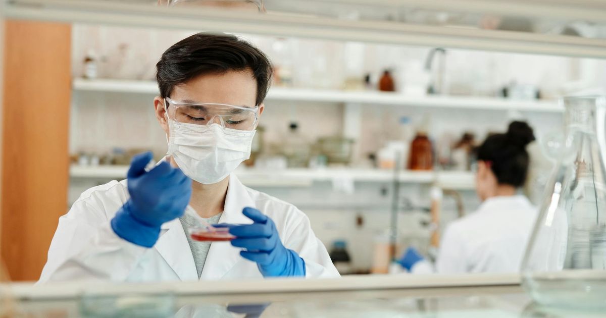 18 Kerjaya dalam bidang sains tulen yang menarik - Jobstreet Malaysia